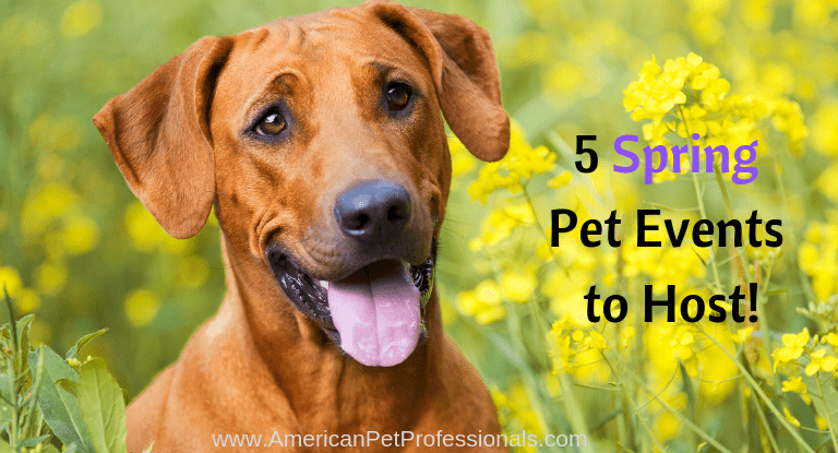 5 Spring Pet Events to Host! - American Pet Professionals