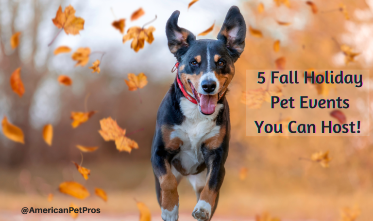 5 Fall Holiday Pet Events You Can Host! - American Pet Professionals